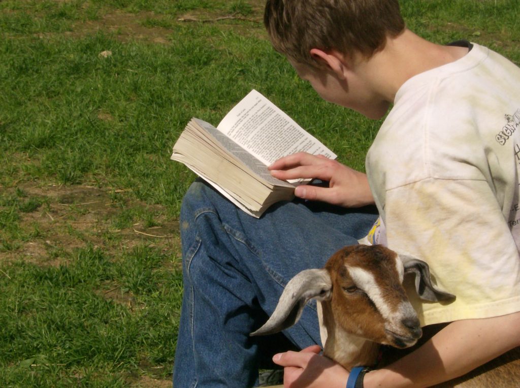 How Catholic Hippies Homeschool - Catholic Sistas