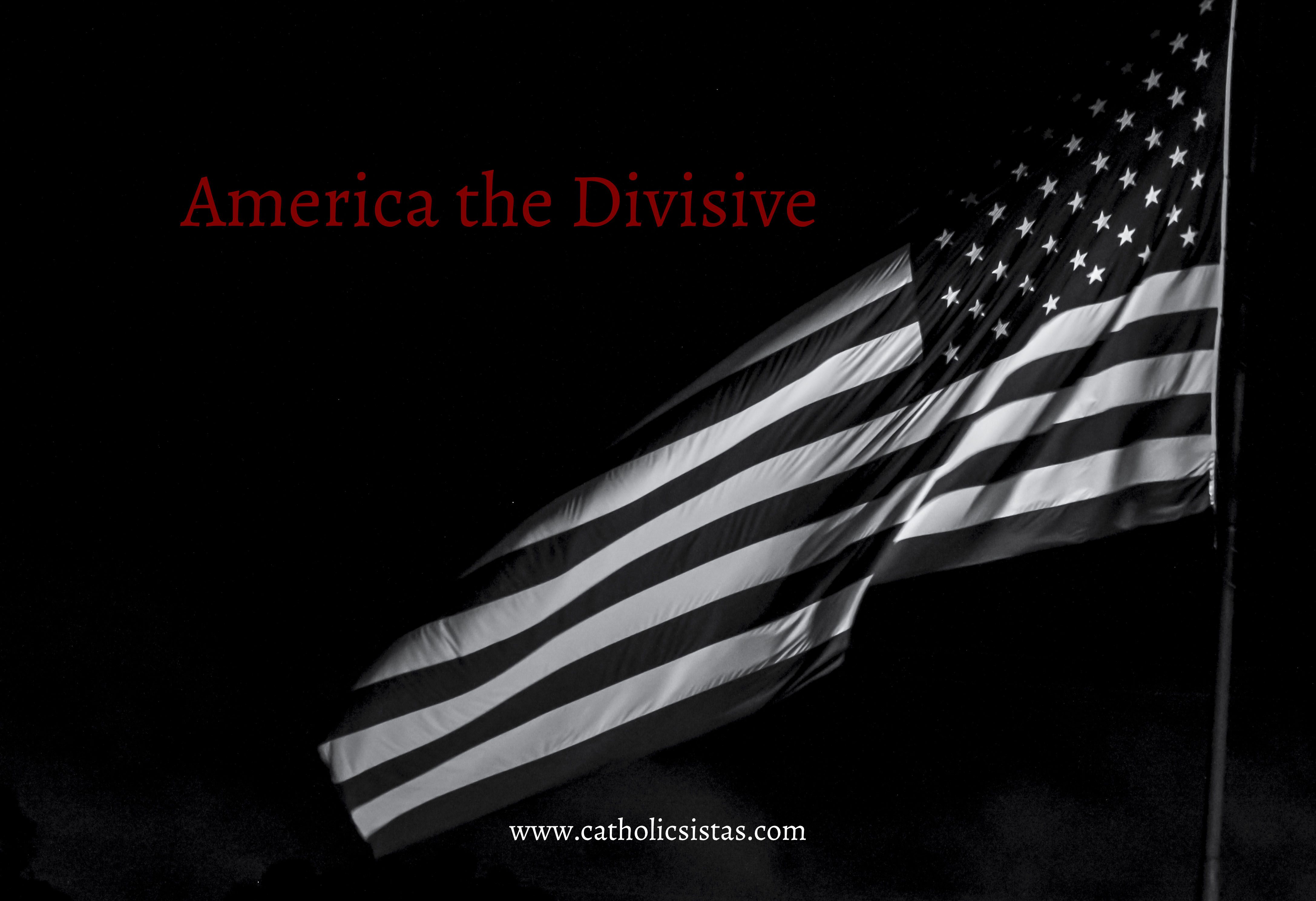 America the Divisive » Catholic Sistas