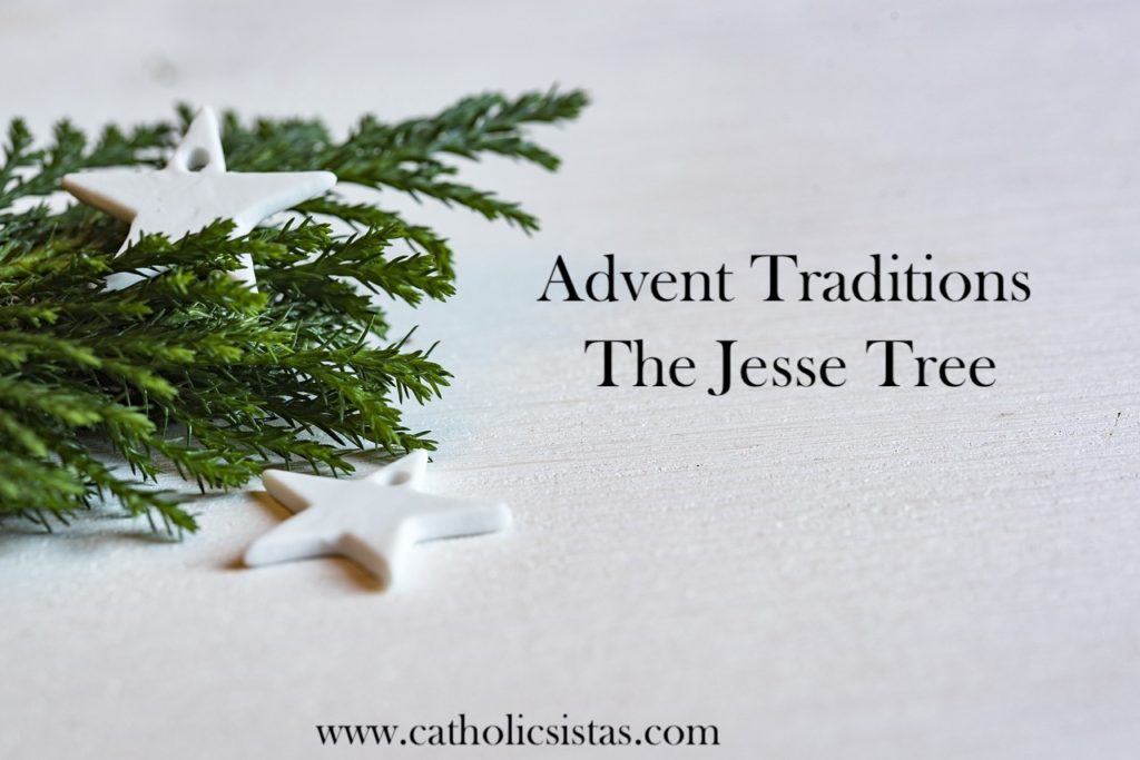 Advent Traditions–The Jesse Tree » Catholic Sistas