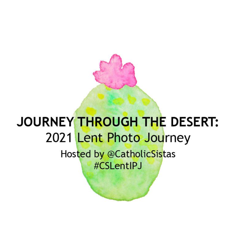 Journey Through The Desert: Lent 2021 Photo Journey » Catholic Sistas